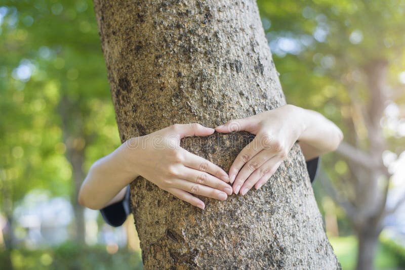 Human Hugging a Tree and Showing Heart Stock Photo - Image of nature ...