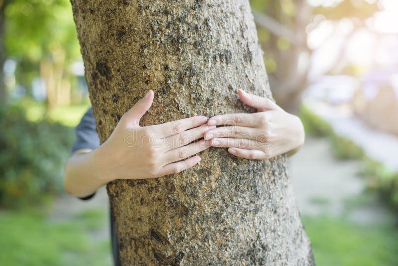 Human Hugging a Tree and Showing Heart Stock Photo - Image of nature ...