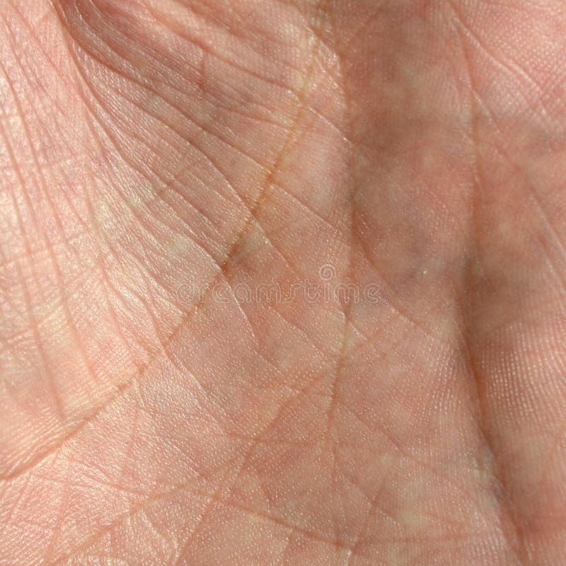 Close Up of Human Hand Skin with Visible Skin Texture and Lines Stock ...