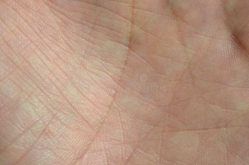 4,181 Human Hand Skin Texture Photos - Free & Royalty-Free Stock Photos ...