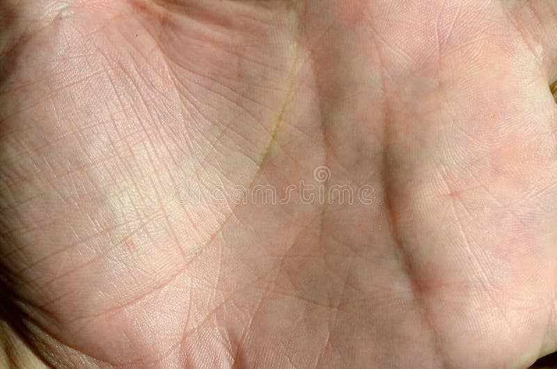 Close Up of Human Hand Skin with Visible Skin Texture and Lines Stock ...