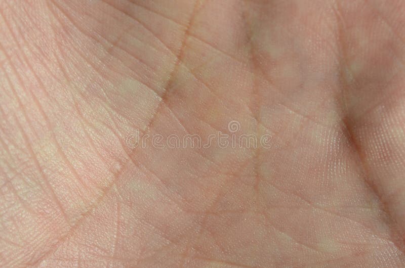 Close Up of Human Hand Skin with Visible Skin Texture and Lines Stock ...