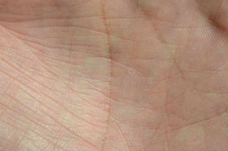 Close Up of Human Hand Skin with Visible Skin Texture and Lines Stock ...