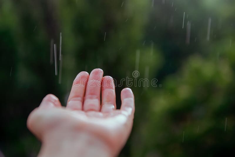 Close Up Human Hand Under the Spring or Summer Rain. Selective Focus ...