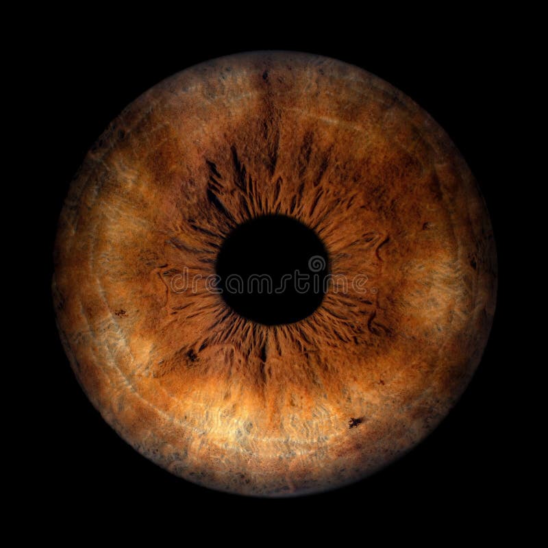 Iris Photography - Unique Singularity Stock Image - Image of giving ...