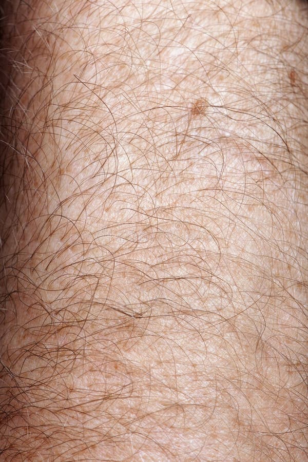 Close-up of human skin stock photo. Image of hair, close - 12910838