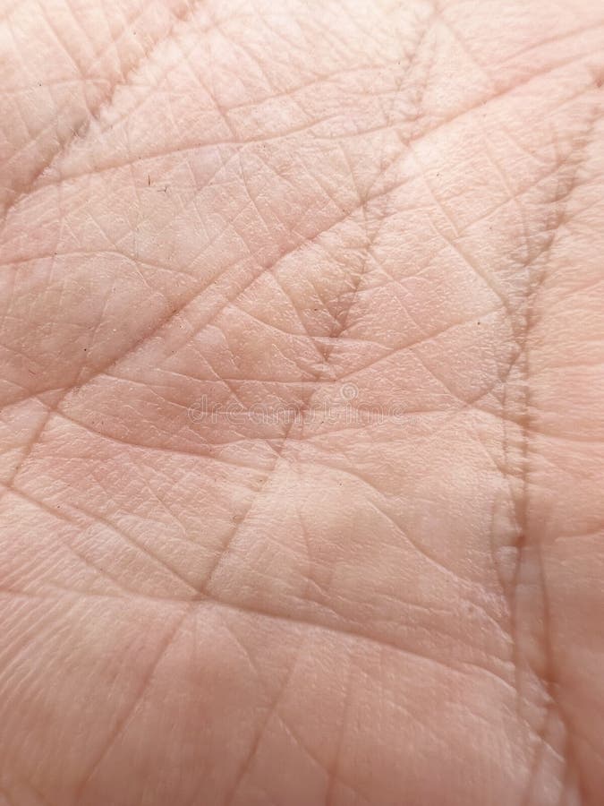 Human skin texture stock photo. Image of medicine, clean - 252932852