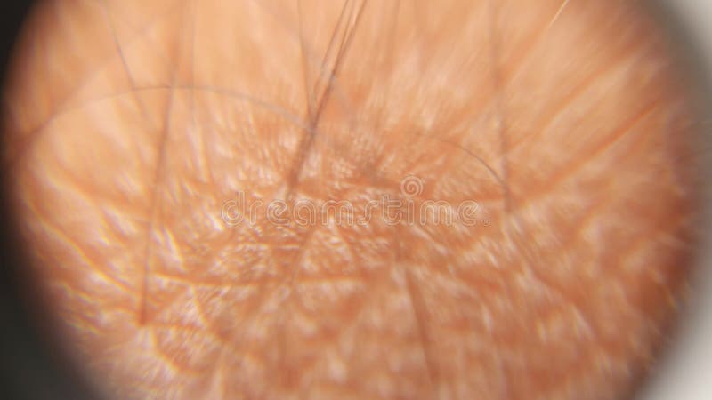 Human skin analysis stock footage. Video of healthy - 145912088