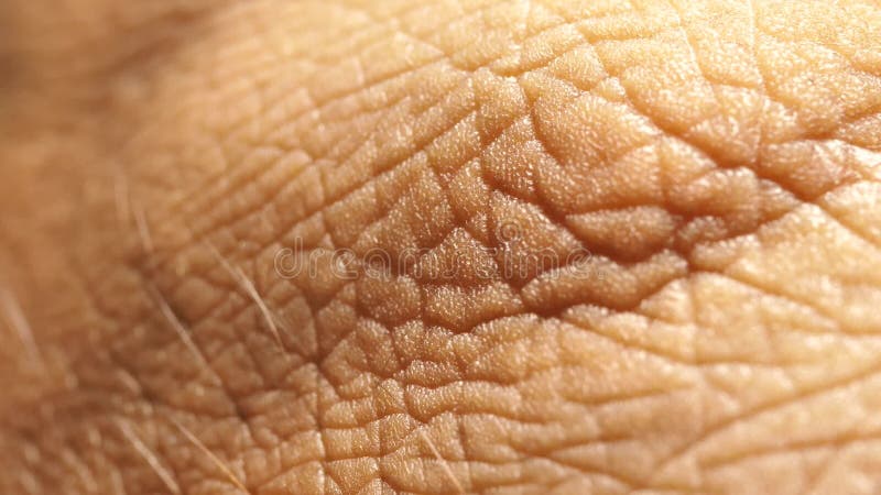 Human skin analysis stock video. Video of anatomy, dappled - 146157431