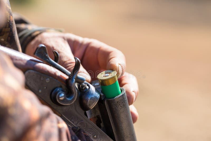Hunter loading rifle stock photo. Image of hunting, shells - 35703286