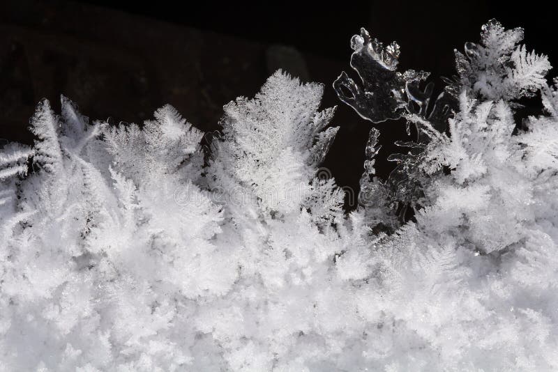 Ice crystals stock photo. Image of ground, frozen, snow - 29733042