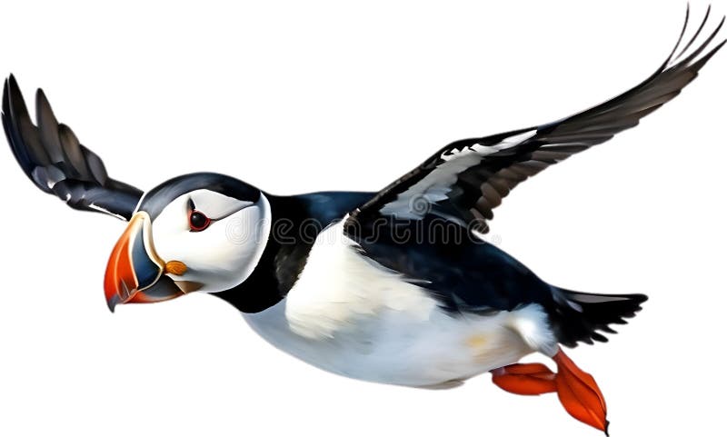 Close-up Image of an Atlantic Puffin Bird. AI-generated. Stock Image ...