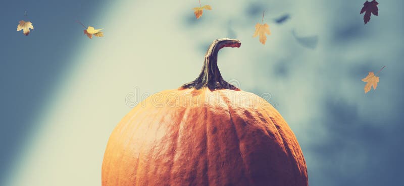 Close Up Image of Autumn Pumpkin - 3D Stock Illustration - Illustration ...