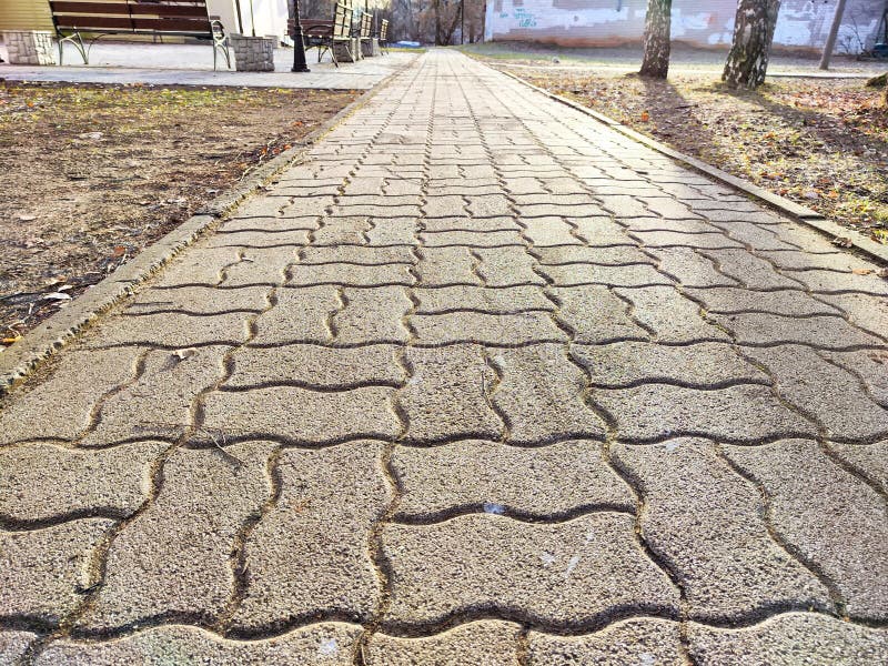A Close-up Image of a Cobblestone Path in a Park, with the Perspective ...