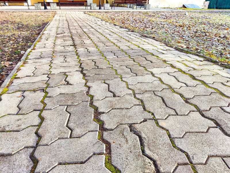 A Close-up Image of a Cobblestone Path in a Park, with the Perspective ...