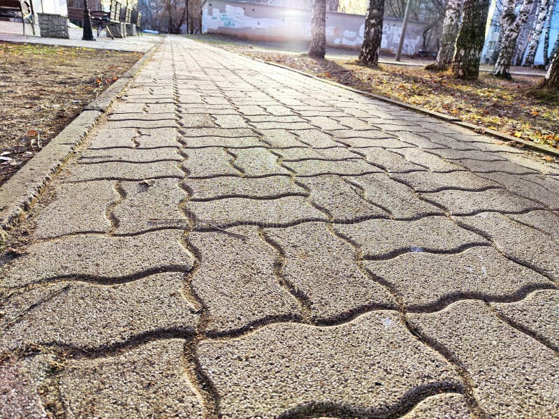 A Close-up Image of a Cobblestone Path in a Park, with the Perspective ...