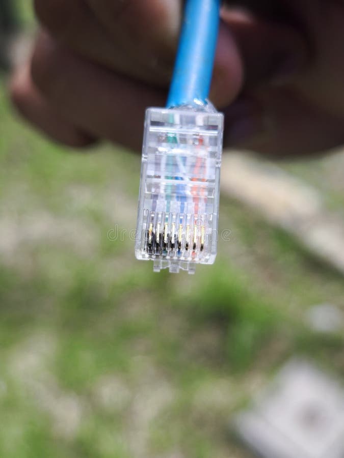 Close-up Image of a Damaged RJ45 Ethernet Connector. Stock Image ...