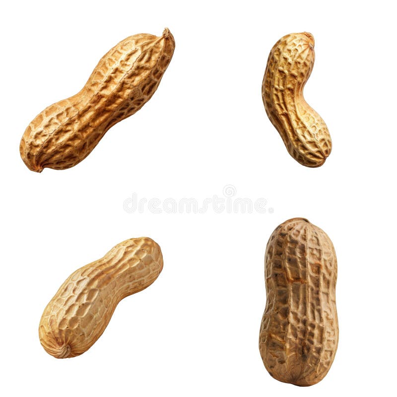 Close-up Image of Four Shelled Peanuts Stock Illustration ...