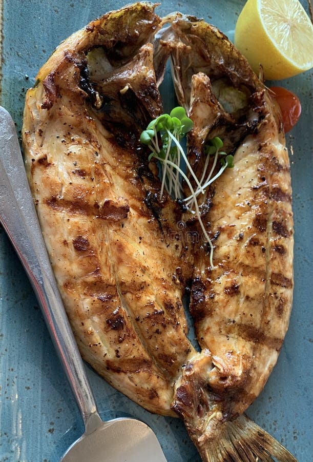 Boori Fish Stock Photos - Free & Royalty-Free Stock Photos from Dreamstime