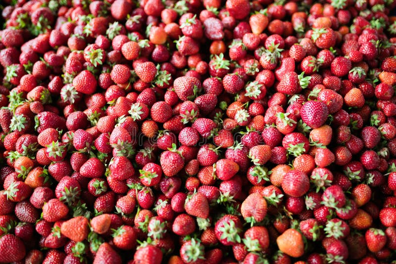 Close Up Image of Lot of Fresh Strawberries Stock Image - Image of ...