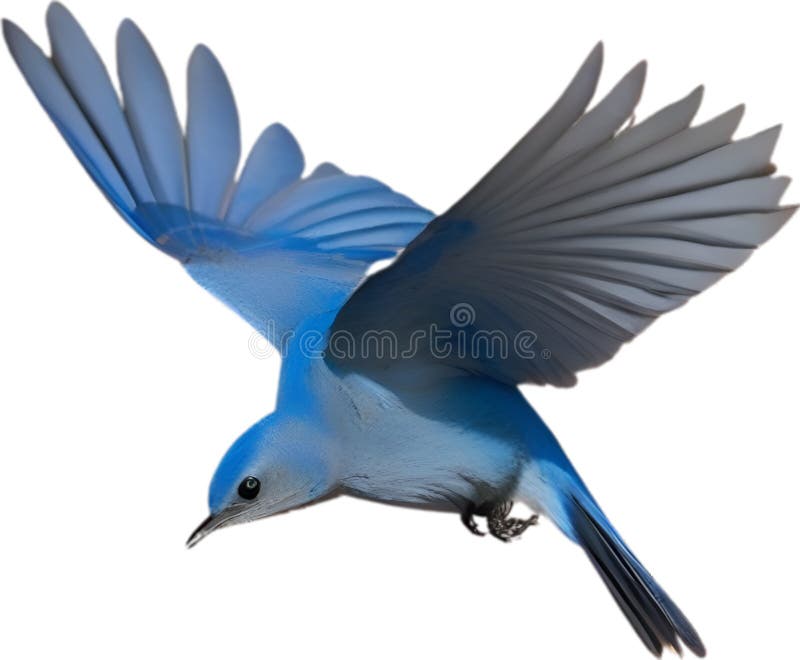 Close-up Image of a Mountain Bluebird. AI-generated. Stock Photo ...