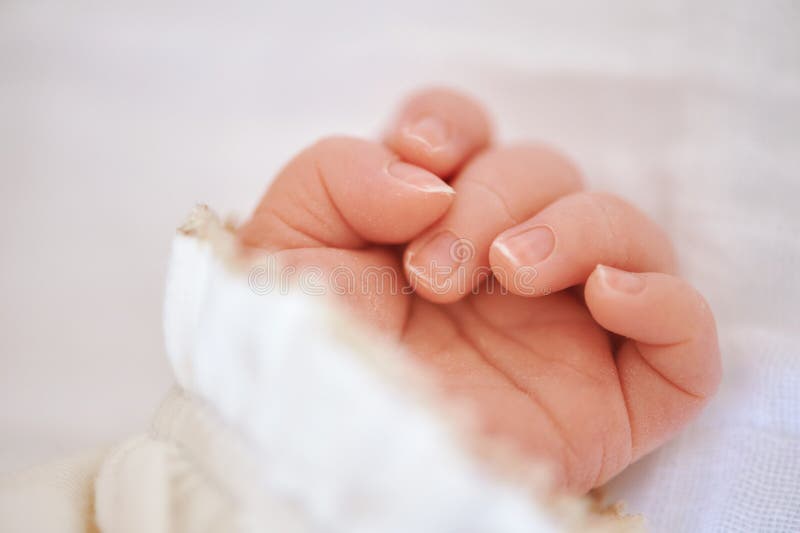Image of newborn baby hand stock photo. Image of body - 266616250