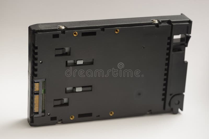 13,914 Non Hot Pre Stock Photos - Free & Royalty-Free Stock Photos from ...