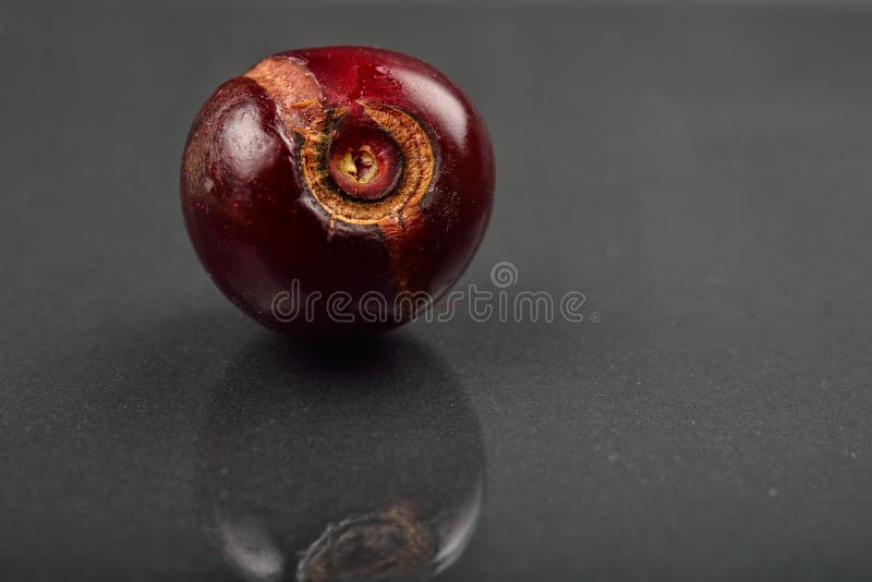 Close Up of Image of Rotten Red Cherry Fruit on Reflective Black Stock ...