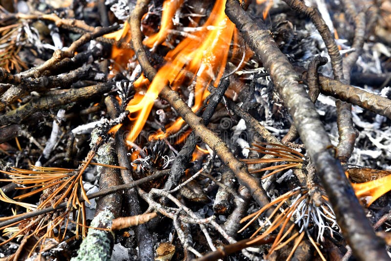 Wood Fire Background stock photo. Image of flame, bonfire - 127246972