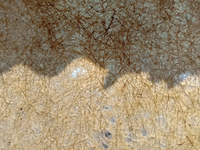 Close-up Image Sunlight and Shadow, with Crinkle, Effect Wallpaper ...