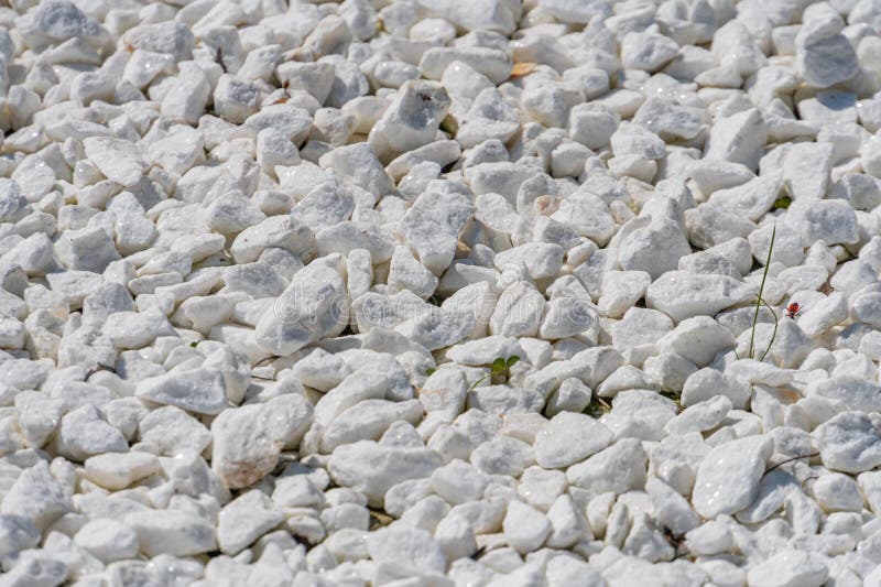 Close-up Image of Tightly Packed, Gray Pebbles in Sand or Sandy ...
