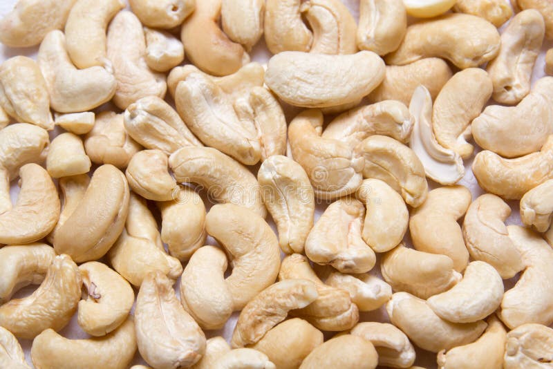 Close Up of Indian Nuts Cashew Stock Image - Image of brown, indian ...