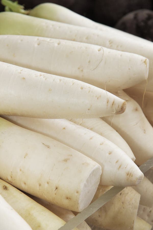 Indian White Radishes At A Fruit And Vegetable Market. Stock Image ...