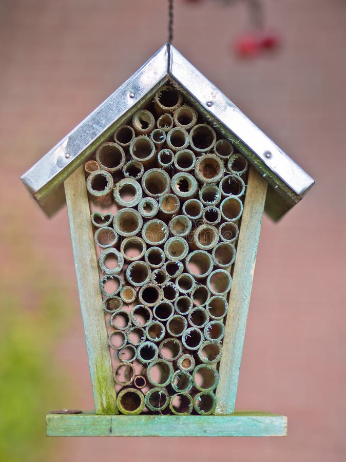 Close up insect hotel stock image. Image of stone, nest - 25890445