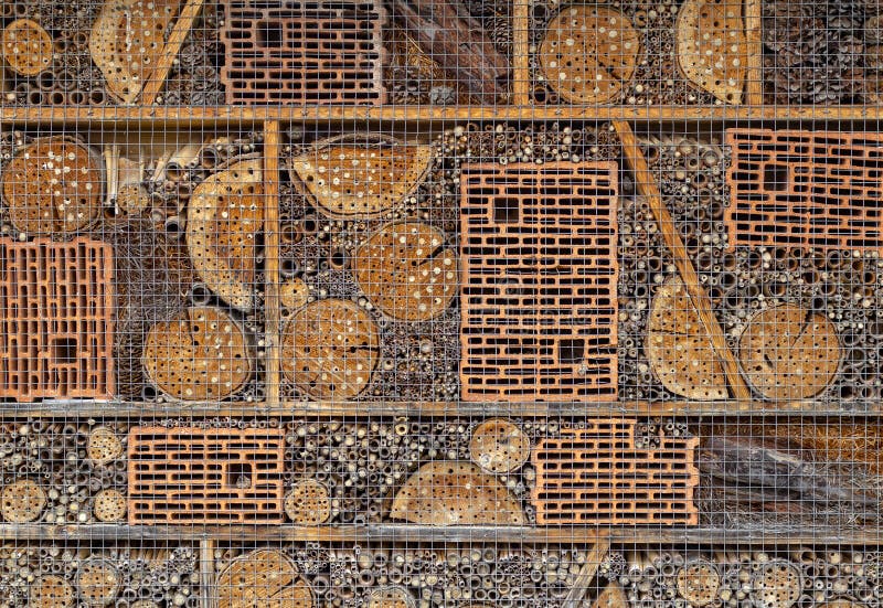 Nesting House Box, Insect Hotel Stock Photo - Image of native, mason ...