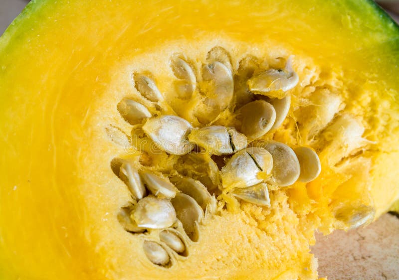 Pumpkin inside texture. stock photo. Image of diet, delicious - 78691412