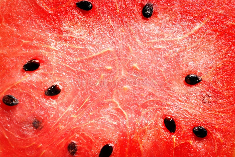1,194 Inside Watermelon Stock Photos - Free & Royalty-Free Stock Photos ...