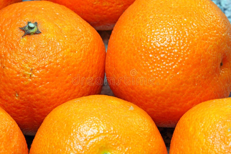 Close Up Inteiro Das Laranjas Para Um Fundo. Imagem de Stock - Imagem ...