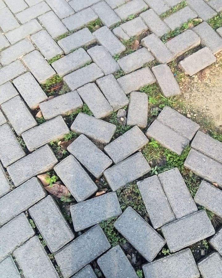 Close-up of Interlocking Concrete Paving Blocks Stock Photo - Image of ...