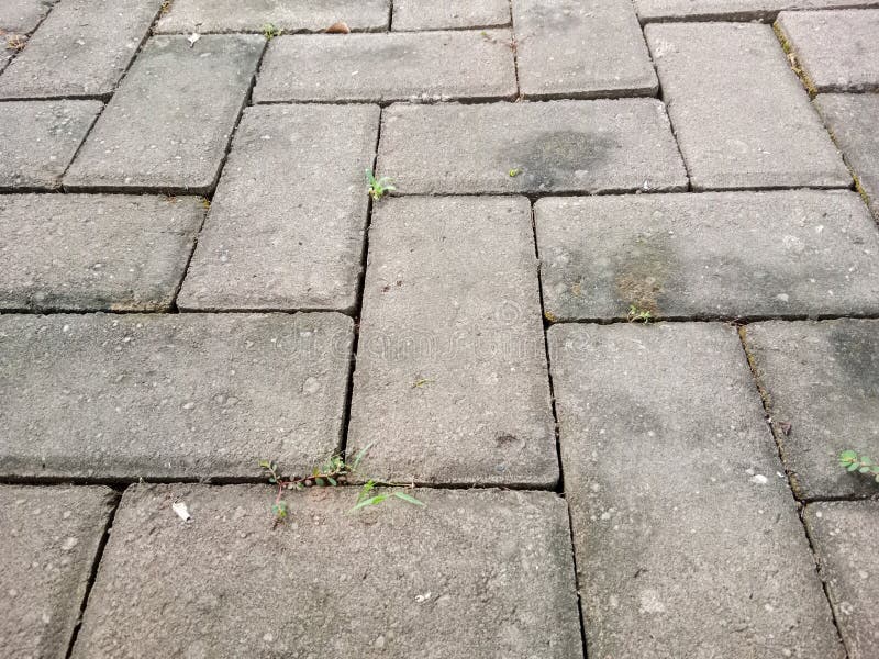 Close-up of Interlocking Stone Pavement with Small Weeds Growing in the ...