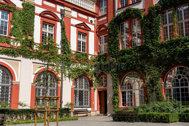 Close-up of an Ivy-covered Historic Building with Arched Windows. Stock ...
