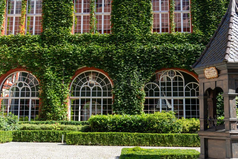 Close-up of an Ivy-covered Historic Building with Arched Windows. Stock ...