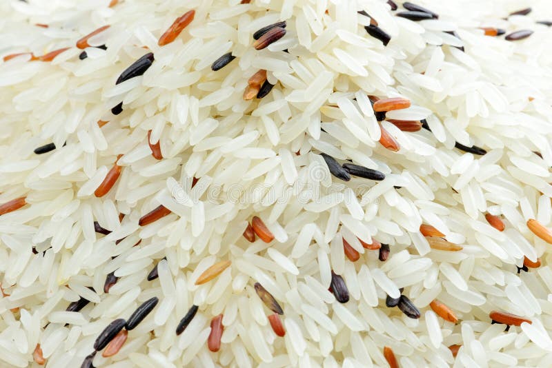 Close-up of Jasmine and Multi Rice Stock Image - Image of rice, natural ...