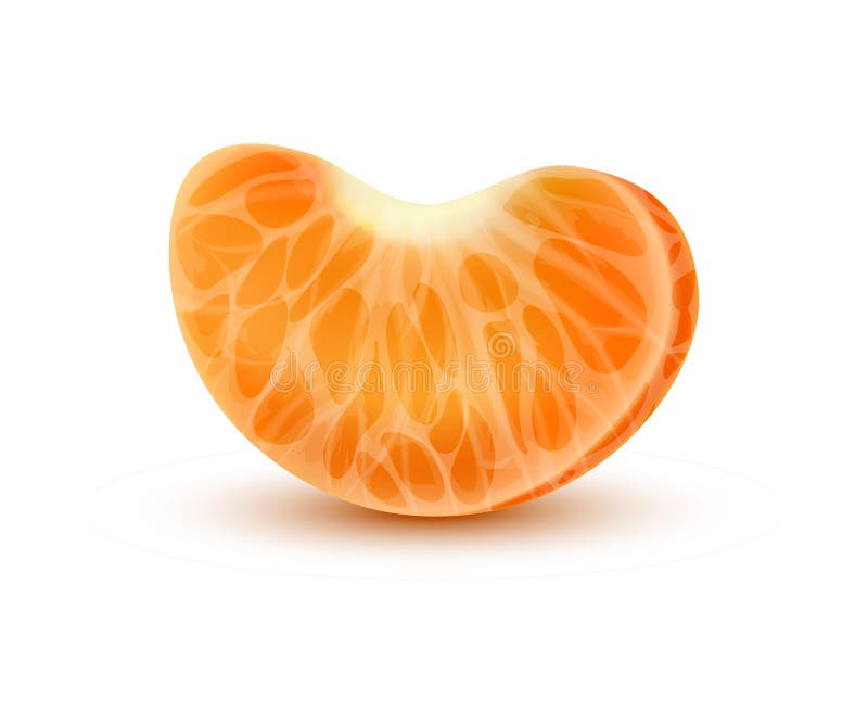 Close-up of a Juicy Mandarin Orange Segment Stock Illustration ...