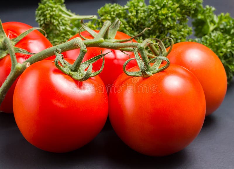 Close Up of Juicy Red Vine Tomatoes with Water Drops Stock Photo ...