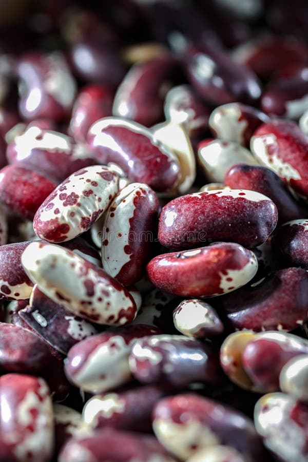 Close-up of kidney beans stock photo. Image of ingredient - 366095206