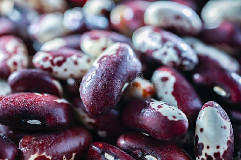 Close-up of kidney beans stock photo. Image of vegetarian - 366095212