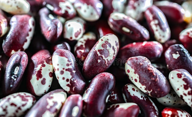 Close-up of kidney beans stock image. Image of kidney - 366095233