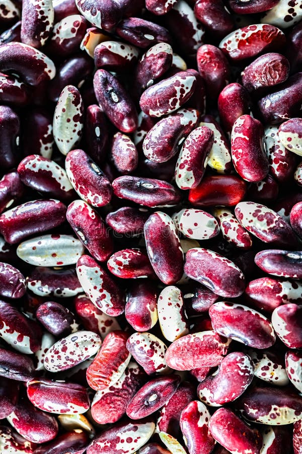 Close-up of kidney beans stock photo. Image of vegan - 366095242