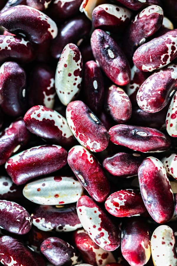 Close-up of kidney beans stock image. Image of legume - 366095249